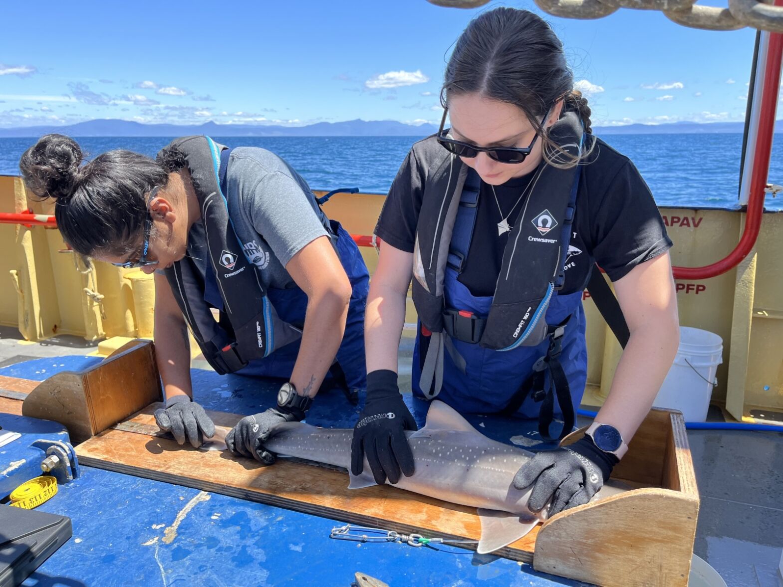 Fisheries Officer | Seafood Careers Australia